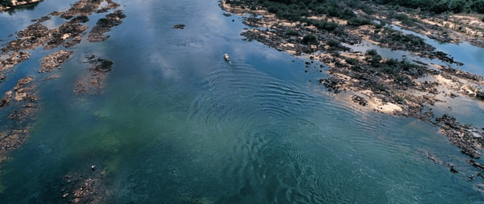 GEF council approves the PIF proposal of ACTO to promote the governance ...