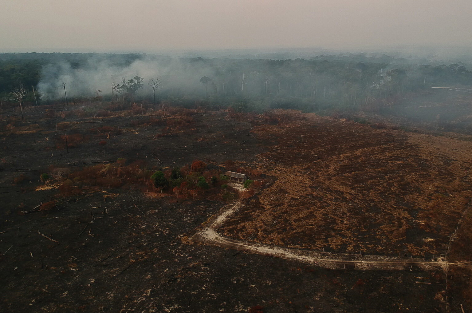 ARO launches burned area module for the Amazon and reports an 80% ...
